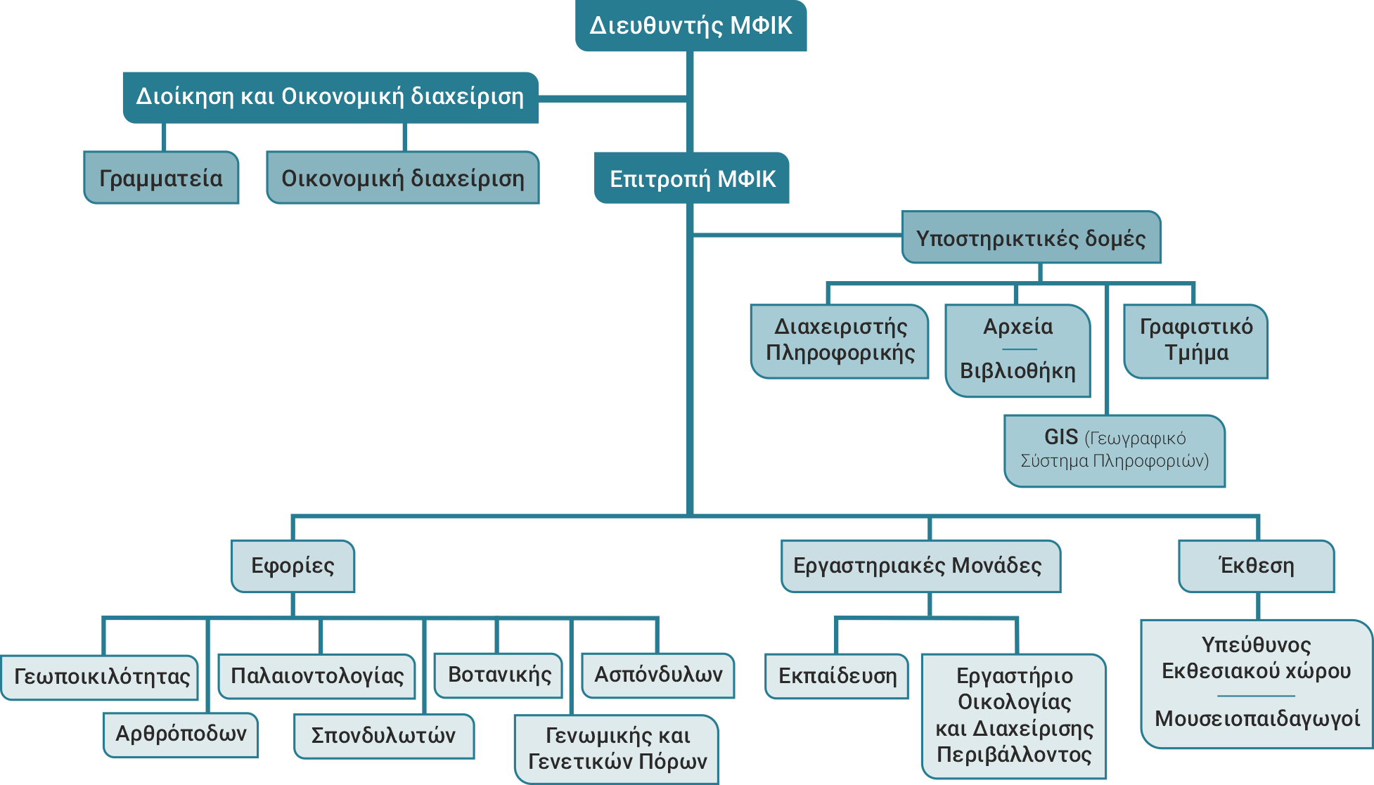 Οργάνωση και Διοίκηση - ΜΦΙΚ